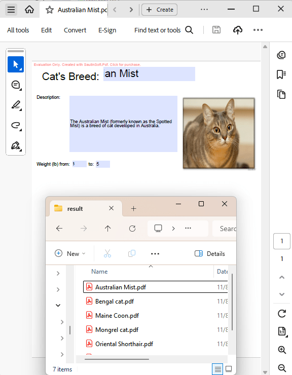 Automation Of Filling Pdf Forms From Json Files Using C And Net