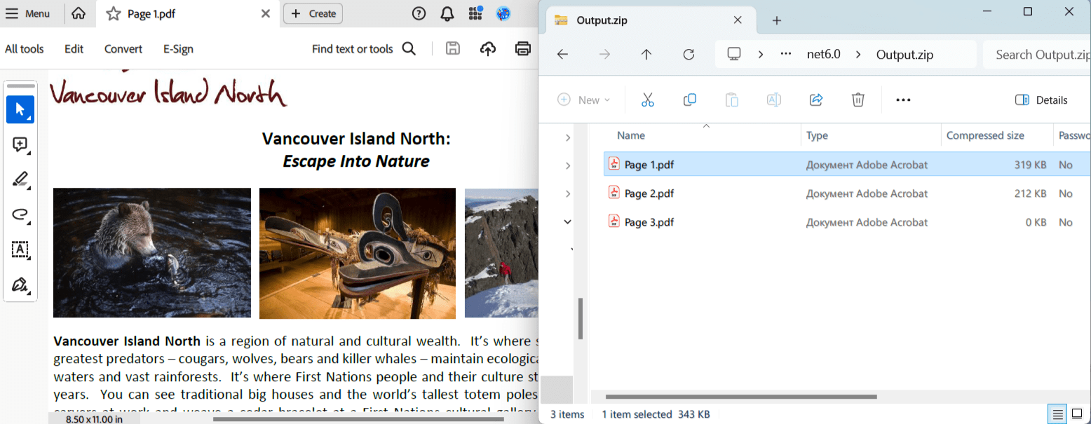 PDF File Splitting in C# and .NET